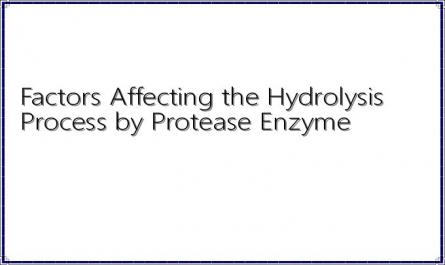 Factors Affecting the Hydrolysis Process by Protease Enzyme