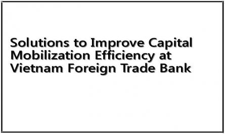 Solutions to Improve Capital Mobilization Efficiency at Vietnam Foreign ...
