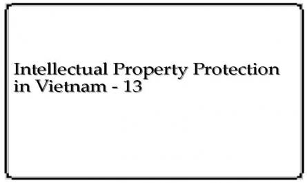 Intellectual Property Protection in Vietnam - 13