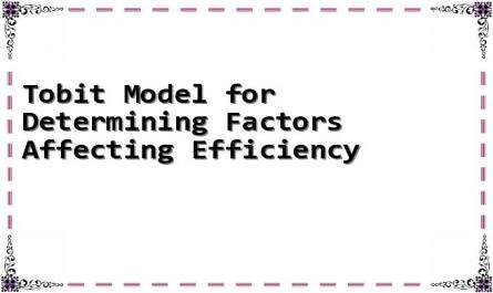Tobit Model for Determining Factors Affecting Efficiency