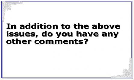 In addition to the above issues, do you have any other comments?
