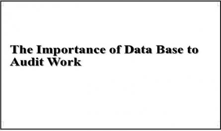 The Importance of Data Base to Audit Work