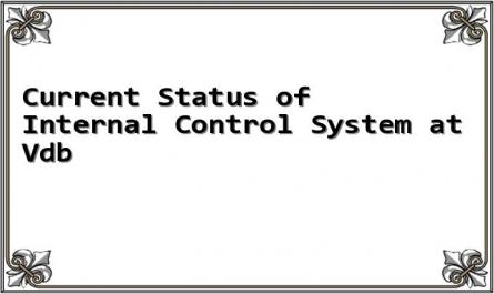 Current Status of Internal Control System at Vdb