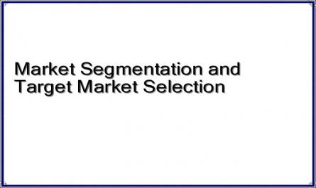 Market Segmentation and Target Market Selection