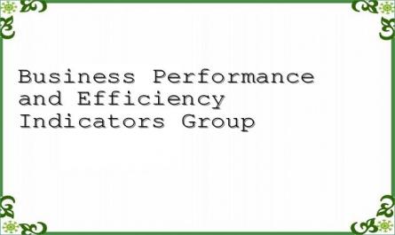 Business Performance and Efficiency Indicators Group