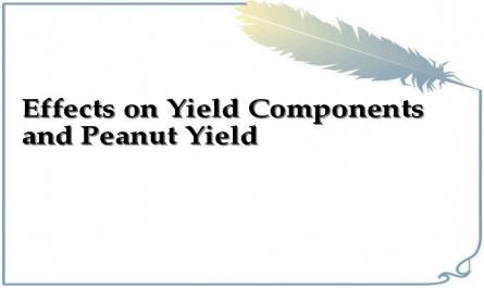 Effects on Yield Components and Peanut Yield