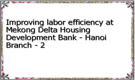 Improving labor efficiency at Mekong Delta Housing Development Bank ...