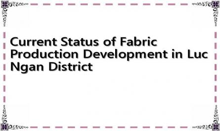 Current Status of Fabric Production Development in Luc Ngan District