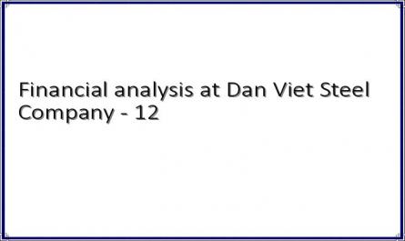 Financial analysis at Dan Viet Steel Company - 12