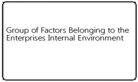 Group of Factors Belonging to the Enterprise's Internal Environment
