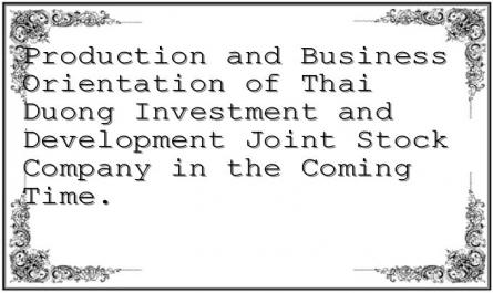 Production and Business Orientation of Thai Duong Investment and Development Joint Stock Company ...