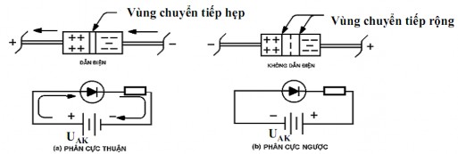 Cấu Tạo Phân Loại Và Các Ứng Dụng Cơ Bản Của Điôt